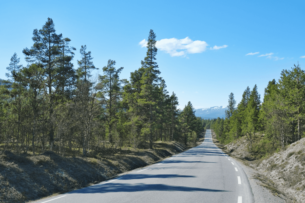 Jotunheimen Rundt - Bikepacking vom Fjell zum Fjord - Simon på tur
